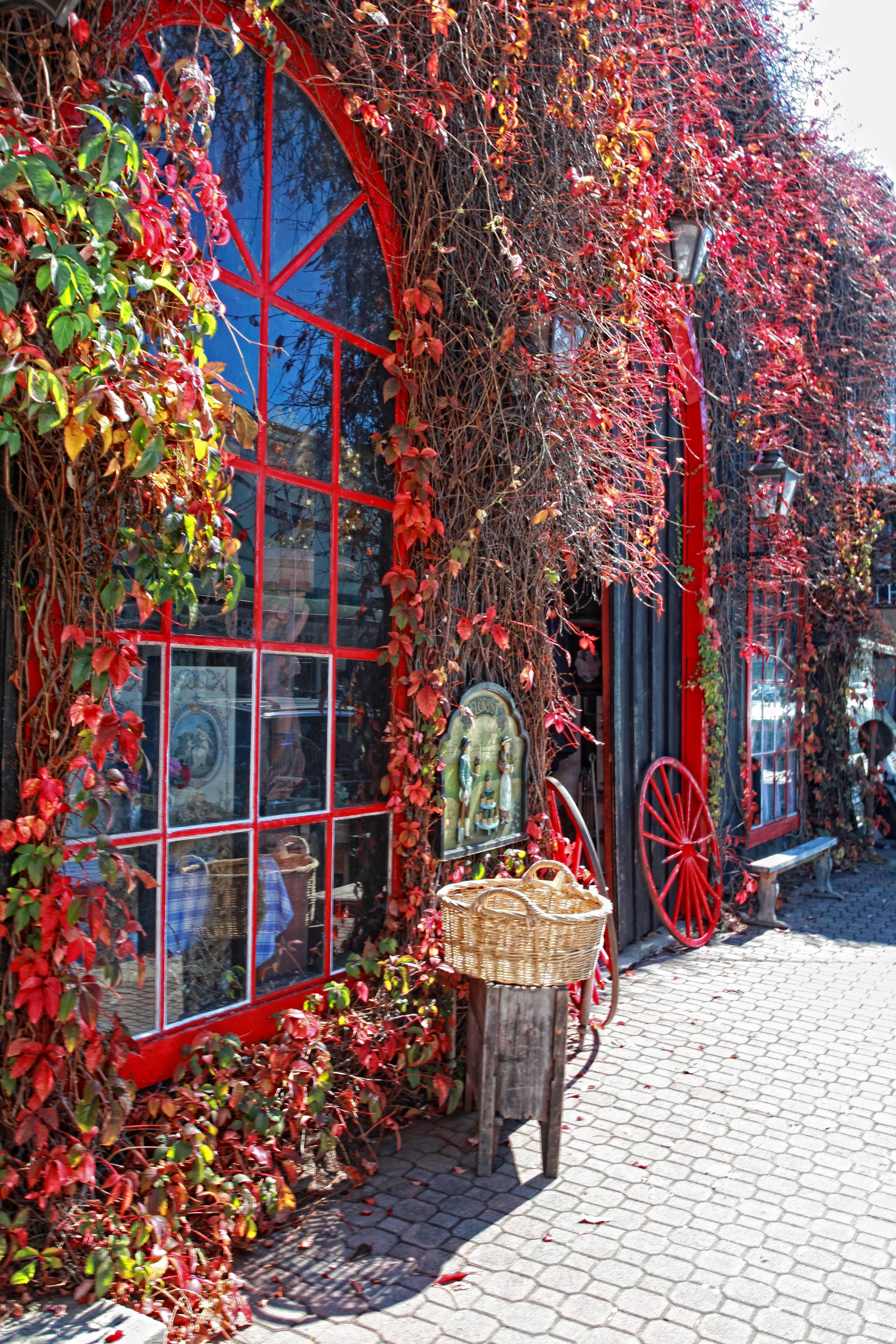 Bowral - Destination Southern Highlands