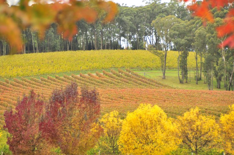Bowral - Destination Southern Highlands