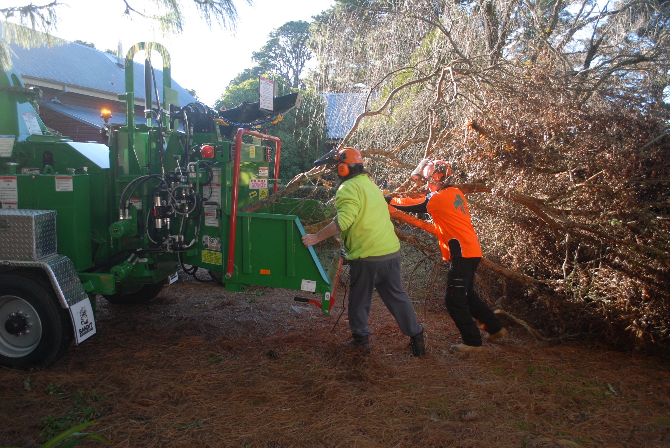 TreeCare Professionals Pty Ltd - Destination Southern Highlands