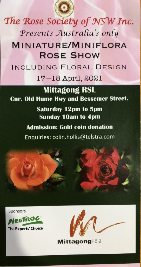 Award Of Excellence 2018 Miniature And Miniflora Roses